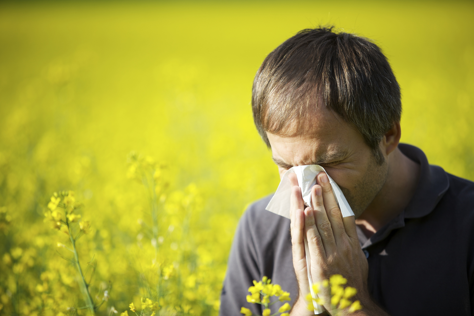 Spring has Sprung: Five Habits That Can Irritate Allergies [Photo ...