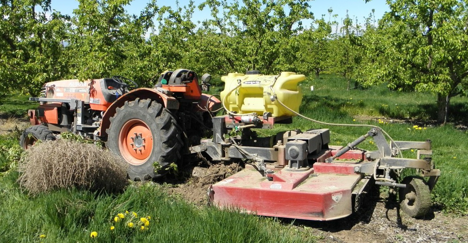 Fatality Investigation: Orchard Worker Dies After Falling Off Tractor ...